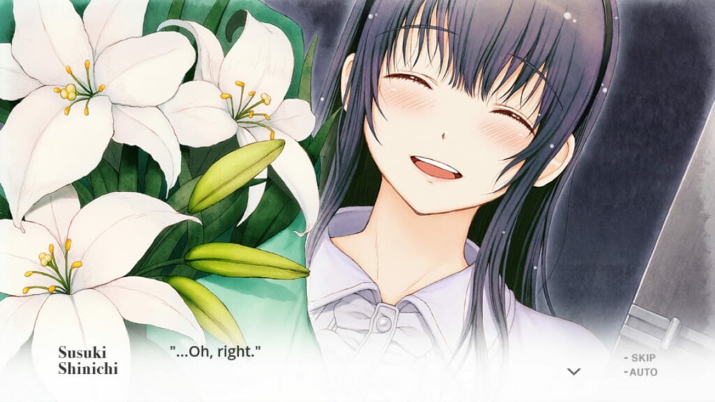 Bilan 2020 des Jeux Vidéo (4) – Visual novels et autres jeux narratifs ...